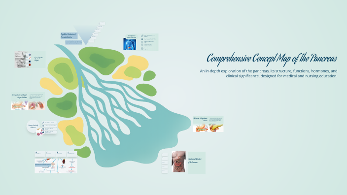 Comprehensive Concept Map of the Pancreas by Funmibi Aiyeola on Prezi