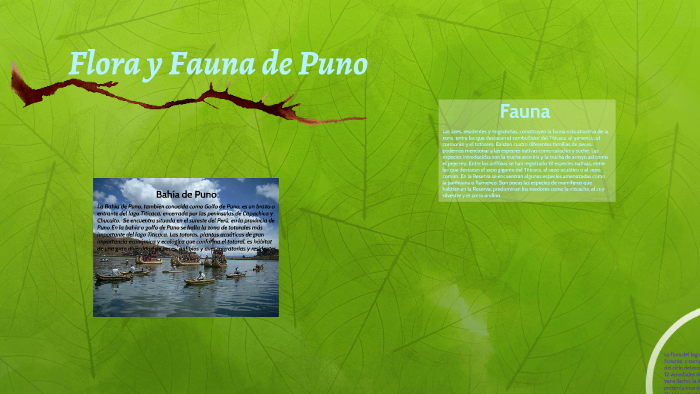 Flora y Fauna de Puno by Ana Paula Cardenas on Prezi