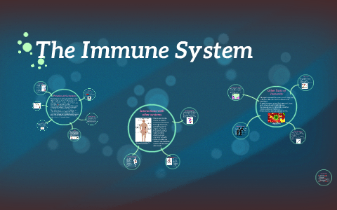 The Immune System by Derek Duong