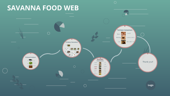 SAVANNA FOOD WEB by JORGE MIGUEL ROJAS NAVARRO on Prezi