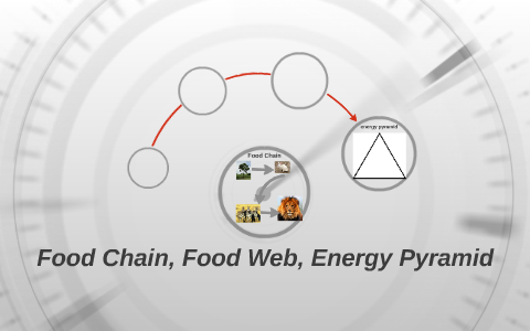 Food Chain, Food Web, Energy Pyramid by Keegan Estabrook on Prezi