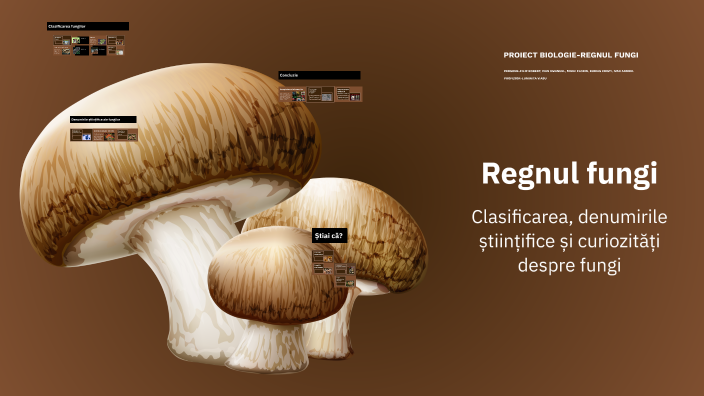 Regnul fungi by robert filip on Prezi