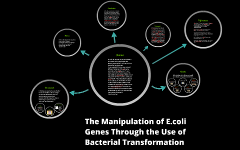 Bacteria Transformation Lab by David Legris on Prezi