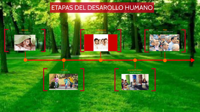 ETAPAS DEL DESAROLLO HUMANO by willy coronel tineo on Prezi