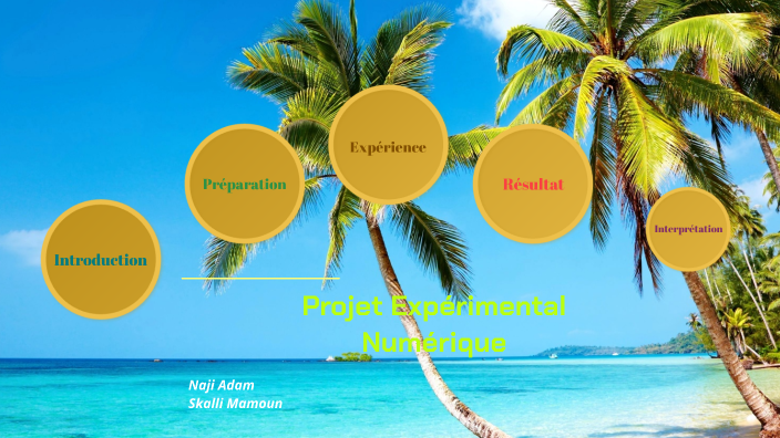 PEN by Adam Naji on Prezi