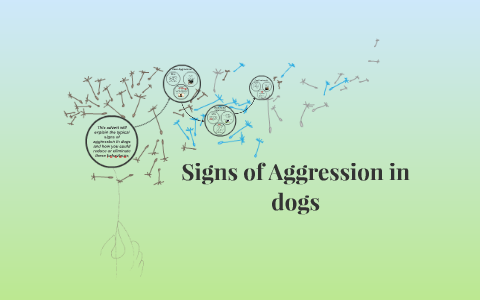 Signs of Aggression by Emma Catherall on Prezi