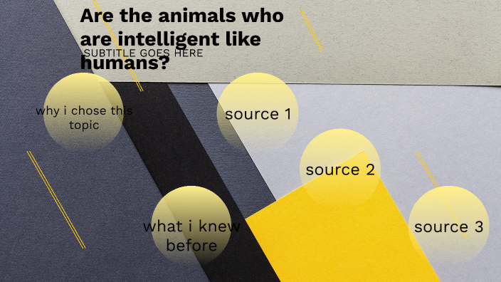Are there animals who are intelligent like humans by Dustin Bermingham ...