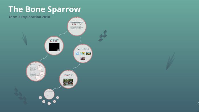 The Bone Sparrow by Lucinda Fitzmaurice on Prezi