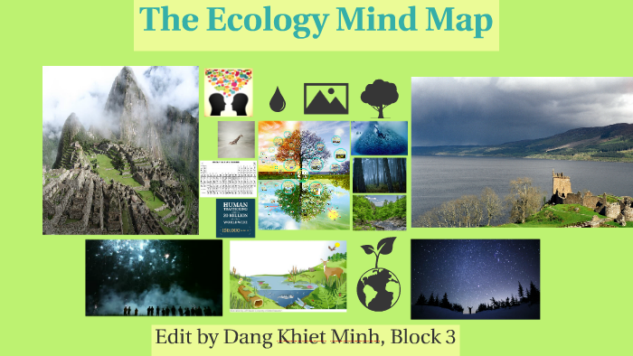 Ecology Mind Map by dang khiet minh on Prezi