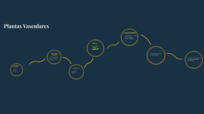 Plantas Vasculares o Traqueófitas: by andrey quesada on Prezi