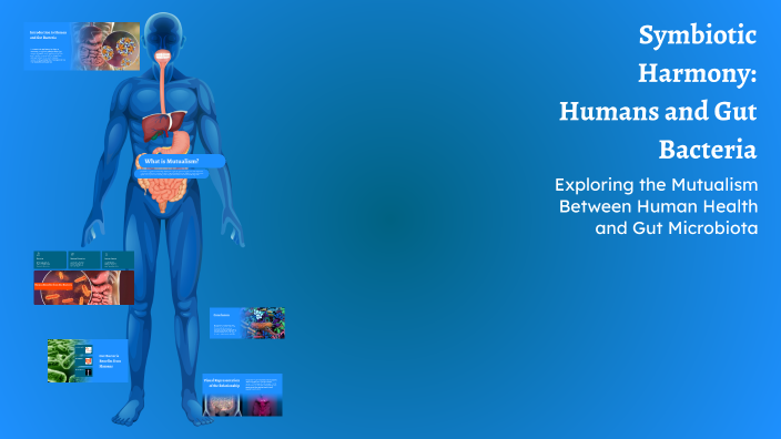 Symbiotic Harmony: Humans and Gut Bacteria by Brody Cornelison on Prezi