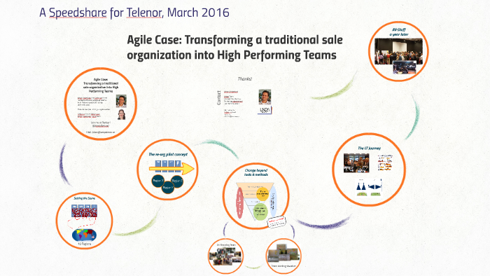 Agile Case: Transforming a classic sale organisation into High ...