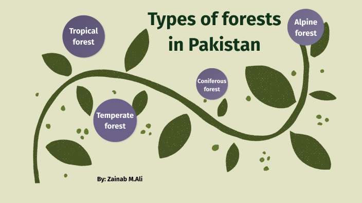 Types of forests in Pakistan by Zainab m.ali on Prezi