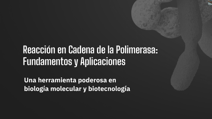 Reacción en Cadena de la Polimerasa: Fundamentos y Aplicaciones by ...