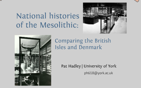 National histories of the Mesolithic: Comparing the British Isles and ...