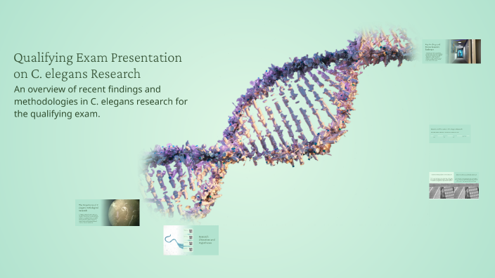 Qualifying Exam Presentation on C. elegans Research by Nicole Sierra on ...