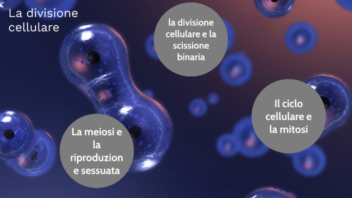 la divisione cellulare e la riproduzione by GARCIADANIEL LOPEZ on Prezi
