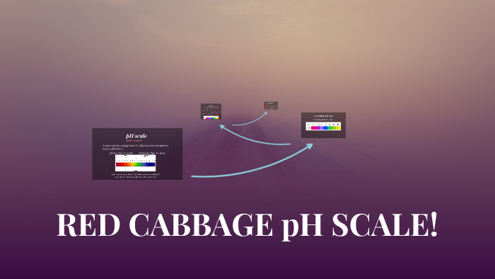 RED CABBAGE pH SCALE! by Iris Walter on Prezi