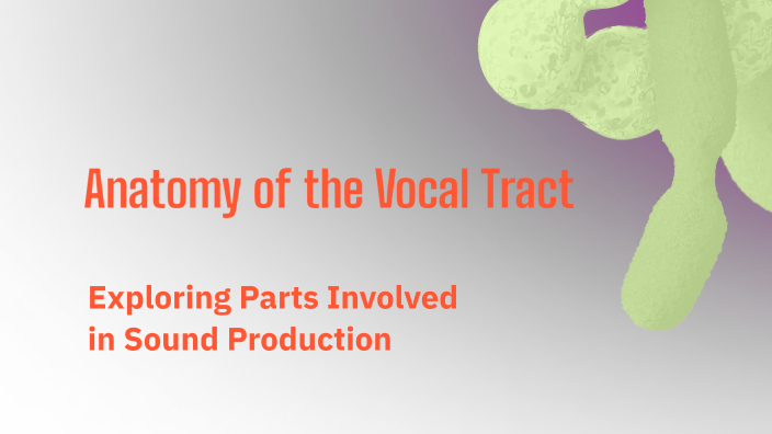 Anatomy of the Vocal Tract by Sohan Mia on Prezi