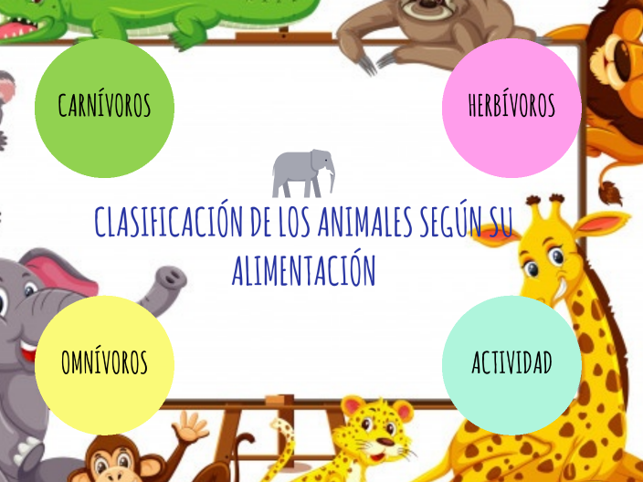 CLASIFICACIÓN DE LOS ANIMALES SEGÚN SU ALIMENTACIÓN by Isabel Olaya on ...