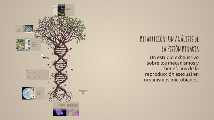 Bipartición: Un Análisis de la Fisión Binaria by Pamela Yepez on Prezi