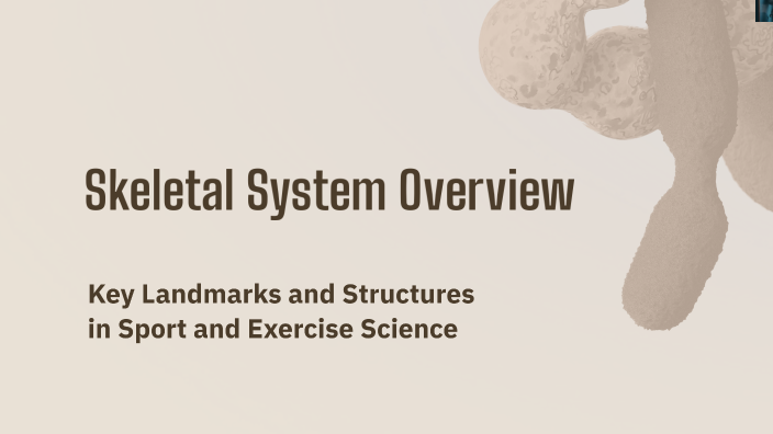 Skeletal System Overview by Peter Robertson on Prezi