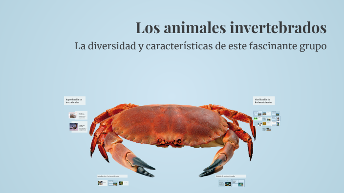 Los animales invertebrados by Miguel Angel Chambi Choque on Prezi