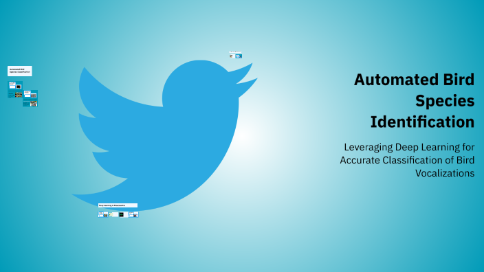 Automated Bird Species Identification by yamini alamuri on Prezi