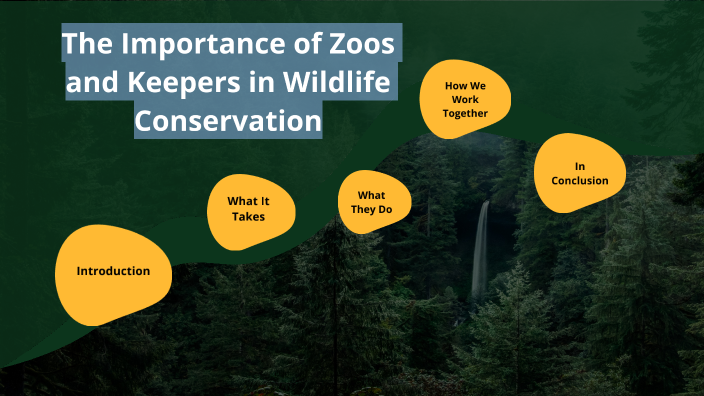 The Importance of Zoos and Keepers in Wildlife Conservation by Tyler ...
