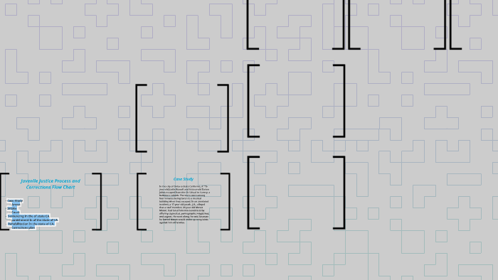 Juvenile Justice Process and Corrections Flow Chart by Joanna Herrera ...