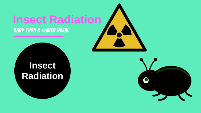 Insect Radiation by Amber Huebl on Prezi