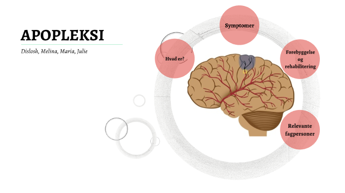 Apopleksi by Julie Knudsen on Prezi