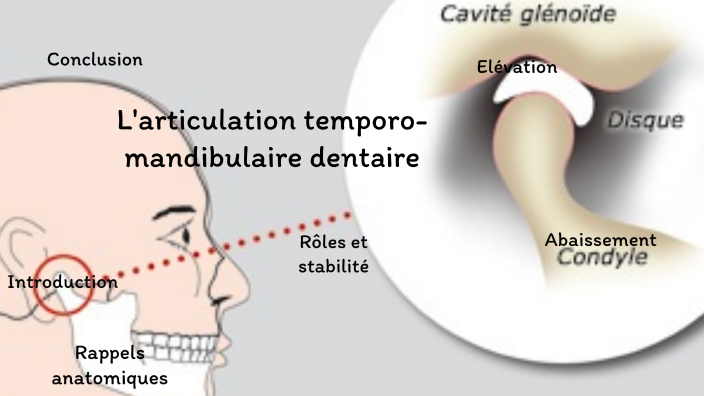 élévation/abaissement de l'ATM by alexis LUSSIAUD on Prezi