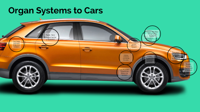 Organ Systems to Cars by BRAD GELLES on Prezi