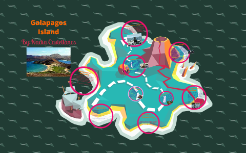 Galapagos island evolution by nadia castellanos