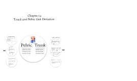 chapter 14 trunk and pelvic gait deviation by Kim JS on Prezi