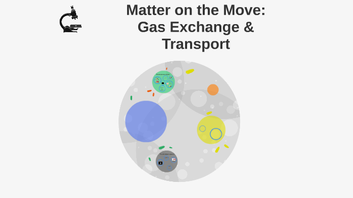 Matter on the Move: by Denell German on Prezi