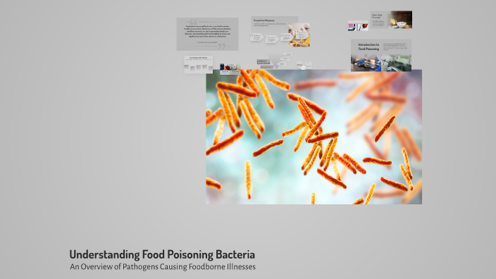 Understanding Food Poisoning Bacteria by Rizwan Arshad on Prezi