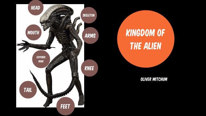 Alien Taxonomy by Oliver Mitchum on Prezi