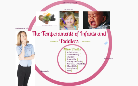 The Temperaments of Infants and Toddlers by Katy Paoli on Prezi