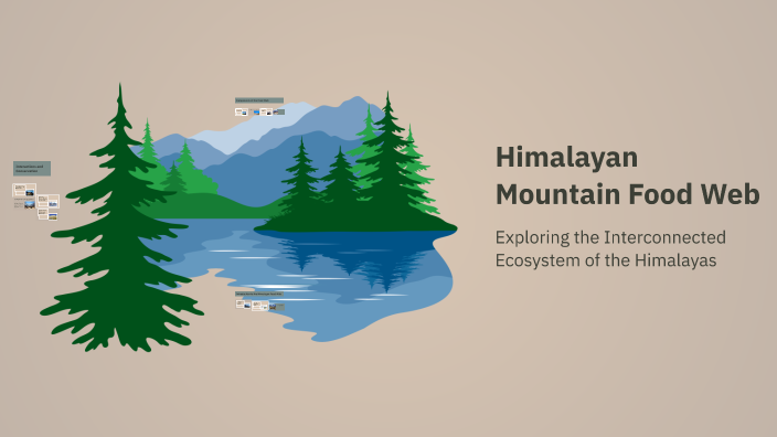 Himalayan Mountain Food Web by Vishwa SA on Prezi