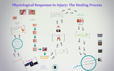 Physiological Responses to Injury: The Healing Process by Nicola ...