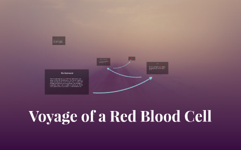 Voyage of a Red Blood Cell by Michael W on Prezi