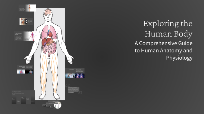 Exploring the Human Body by Uurtsaikh Sansar on Prezi