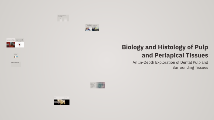 Biology and Histology of Pulp and Periapical Tissues by Laura Diaz on Prezi