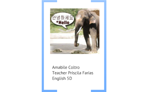 Koshik - An elephant that speaks Korean by Amabile Coltro on Prezi