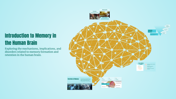 implanting and erasing of Memory in the Human Brain by Niya on Prezi