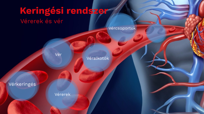 Keringési rendszer: vérerek és vér by Kitty Kilacsko on Prezi