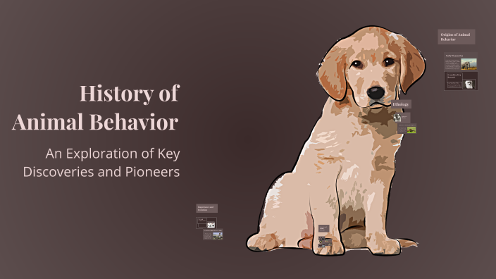 History of Animal Behavior by Kaelana Nelwood on Prezi
