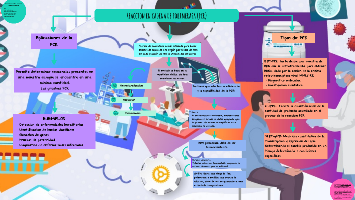 Mapa conceptual sobre la PCR by Marinaa marina on Prezi